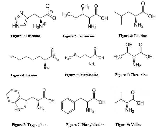 Essential Amino Acid Structures